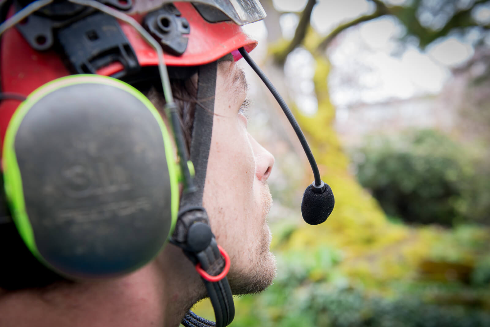 Portfolio | Advantage Tree Care