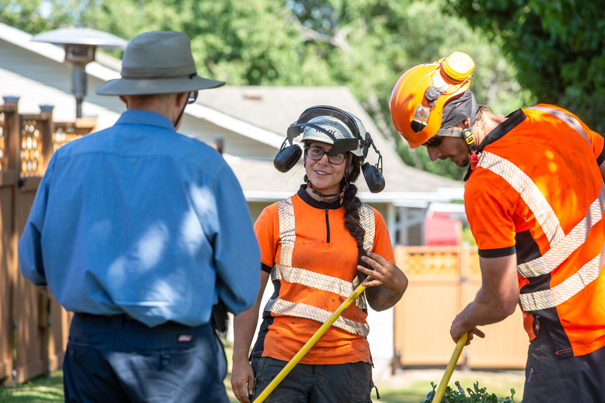 What Does An Arborist Do